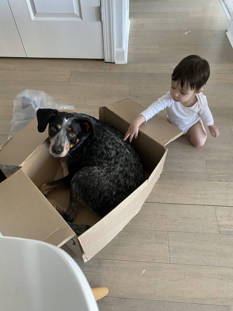 We're Moving! - Erin's Inside Job